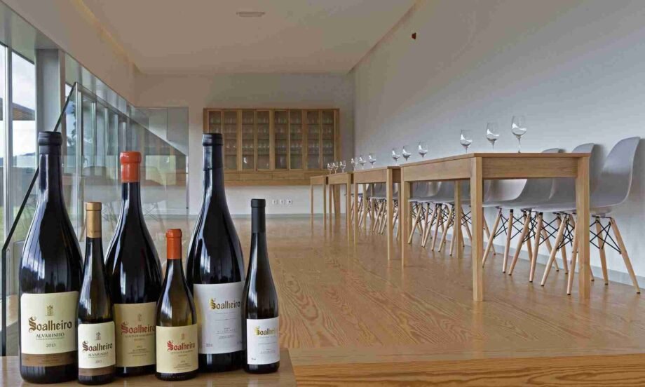 Green wine: Complete Guide to a Portuguese Wine You Should Be Drinking ...